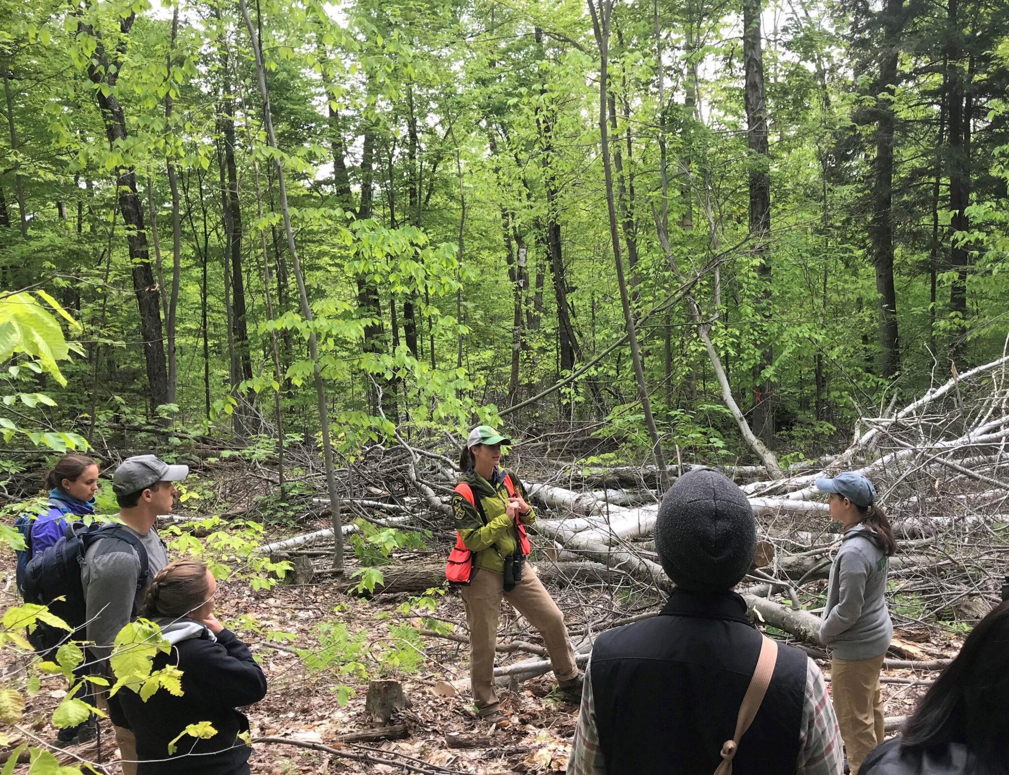 White-tailed Deer Rely on Quality Winter Habitats – Partner with a Payer