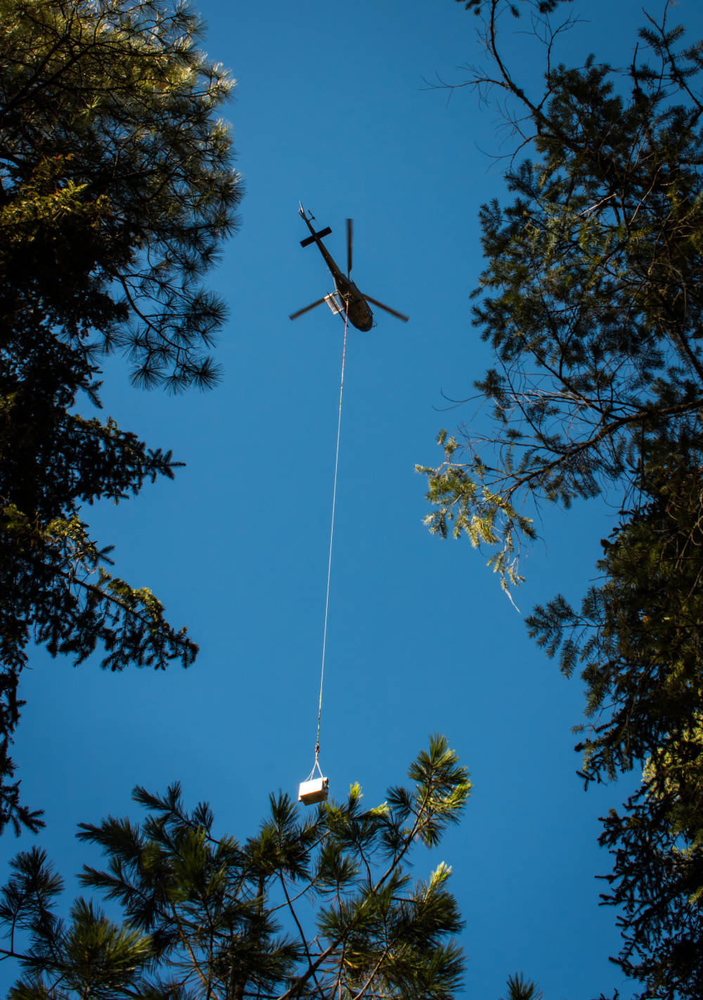 Gila Trout Conservation and Sport Fish Restoration - Partner with a Payer